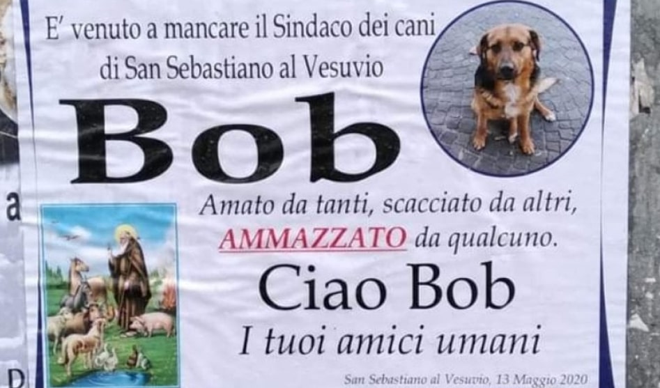 Il paese intero piange Bob: “hanno ammazzato il sindaco dei cani”